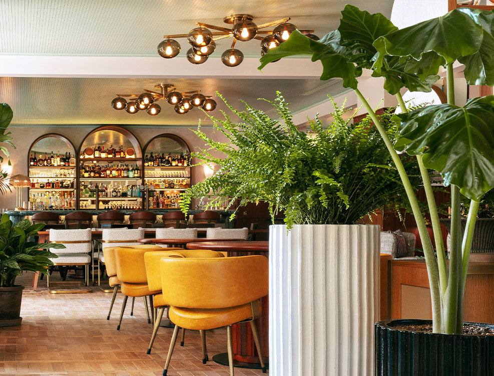 When In Rome…the Newly Opened Hoxton Hotel Rome Contardi Italia